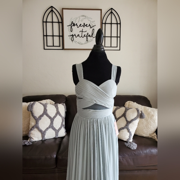 Birdy Grey | Dresses | Birdy Grey Nwt Elsye Maxi Dress In Mesh Sage ...